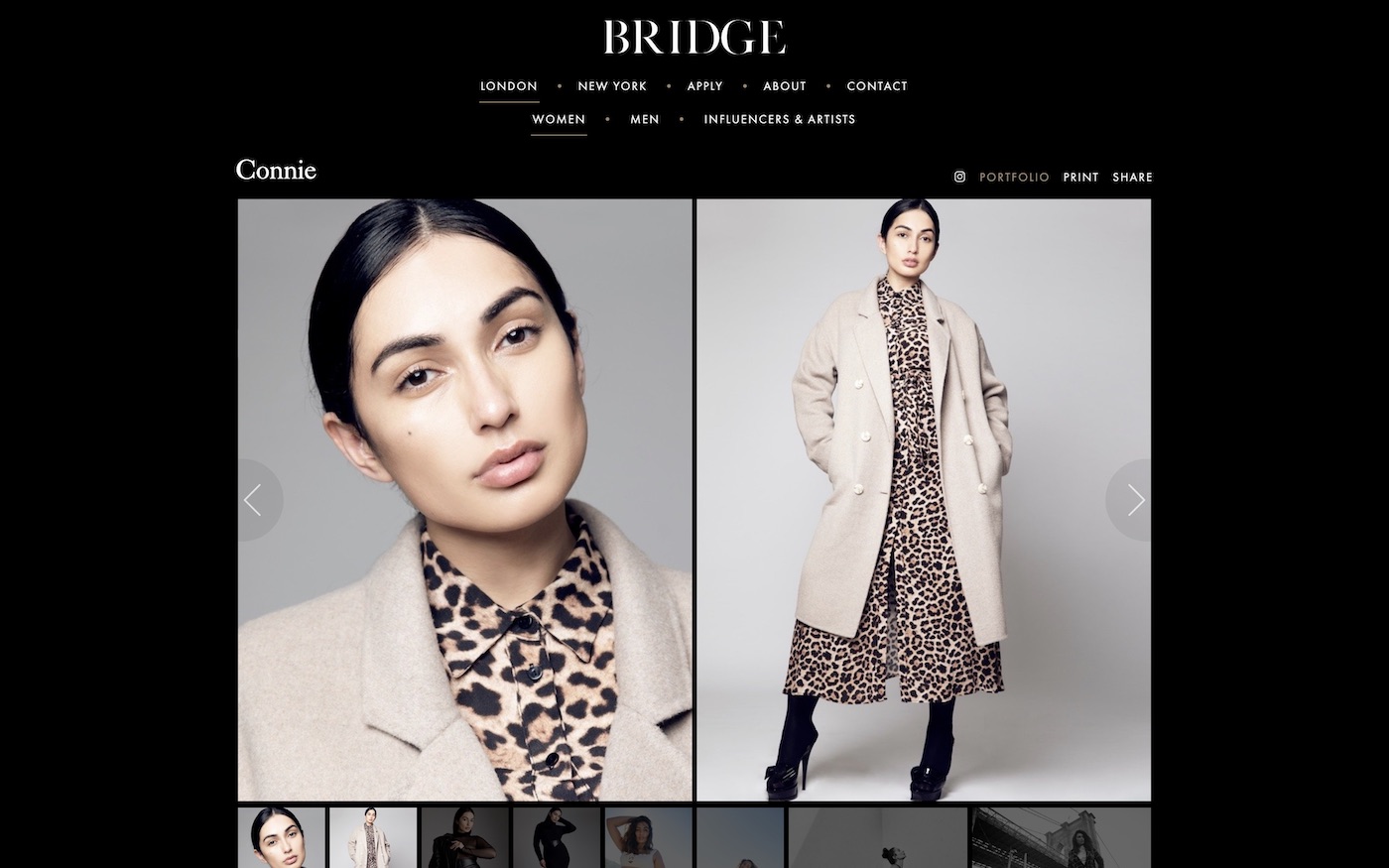 Bridge Models | Syngency