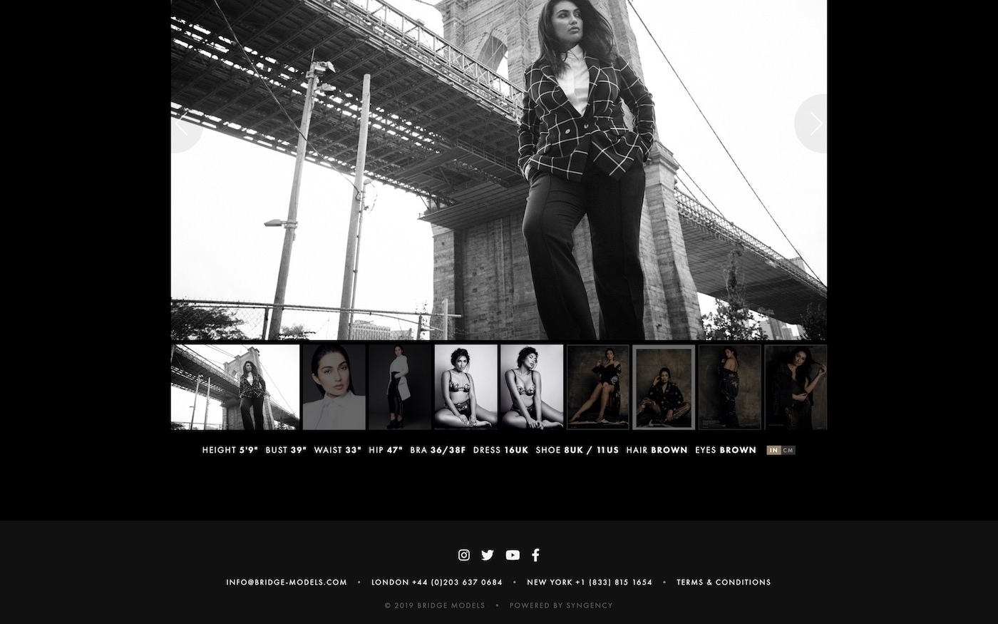 Bridge Models | Syngency